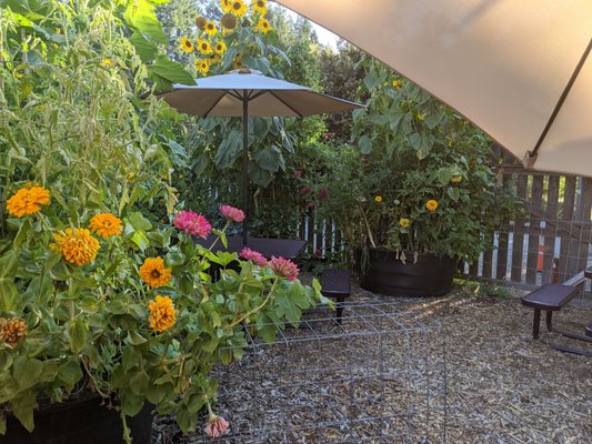 THE PEG HOUSE - Updated July 2024 - 319 Photos & 255 Reviews - 69501 US ...