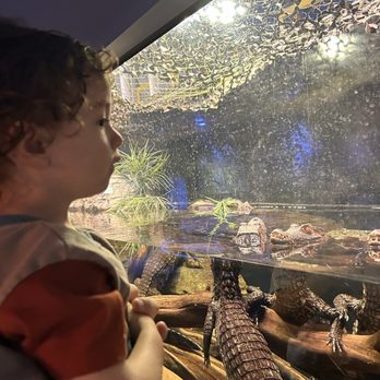 ARIZONA BOARDWALK - Updated June 2024 - 114 Photos & 26 Reviews - 9500 ...