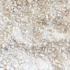 SOUTHERN CARLSON - Updated September 2025 - 13 Photos - 5849 W Schulte ...