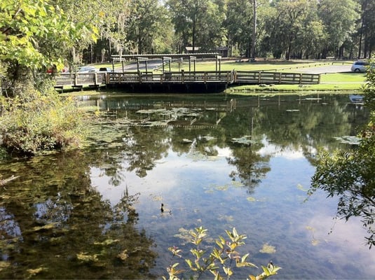 MAGNOLIA SPRINGS STATE PARK - 24 Photos - 1053 Magnolia Springs Dr ...