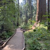 Calaveras Big Trees State Park - 690 Photos & 258 Reviews - Parks ...