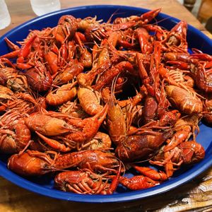 KYLE LEBLANC CRAWFISH FARMS - Updated September 2024 - 10 Photos & 14 ...