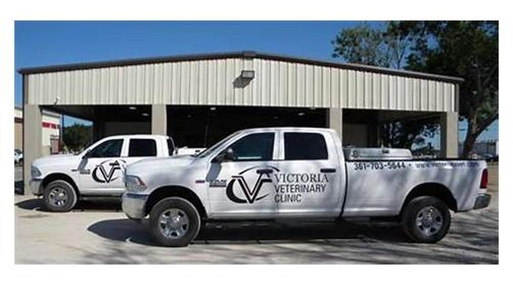 VICTORIA VETERINARY CLINIC - Updated January 2026 - 11 Reviews - 3902 ...