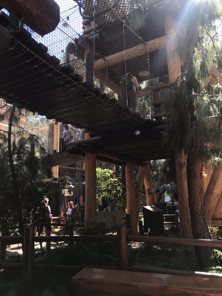 Wilderness Explorer Camp, Anaheim | Roadtrippers