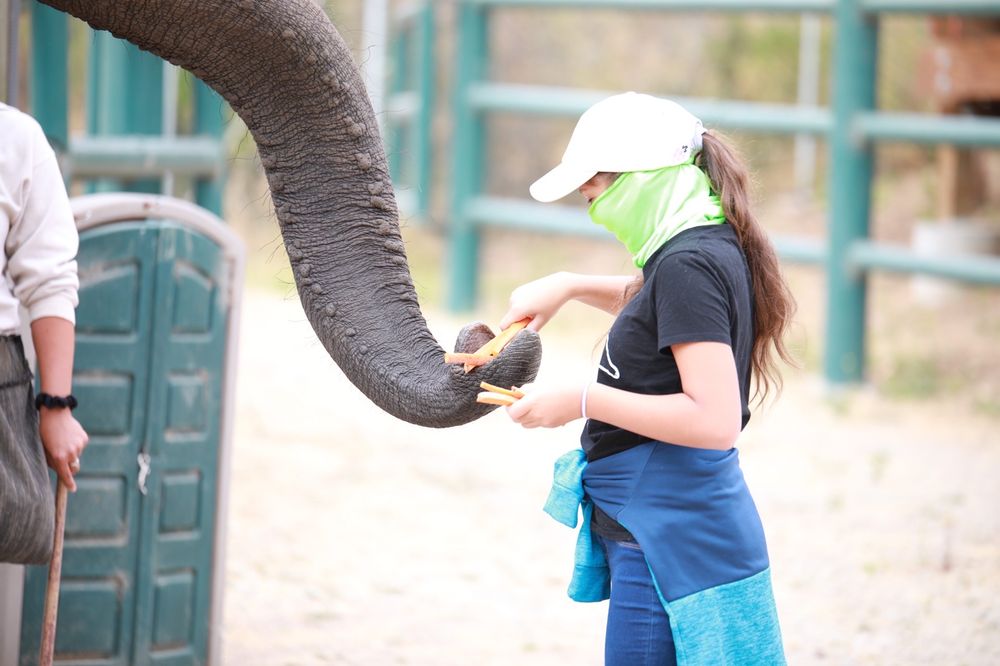 VISION QUEST RANCH - Updated June 2024 - 817 Photos & 306 Reviews - 400 ...