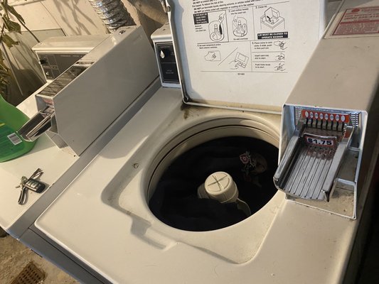 CSC SERVICEWORKS - Updated September 2025 - 73 Photos & 387 Reviews ...