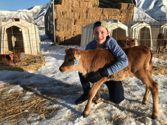 DISCOVERY RANCH - Updated November 2025 - 18 Photos & 36 Reviews - 1308 ...