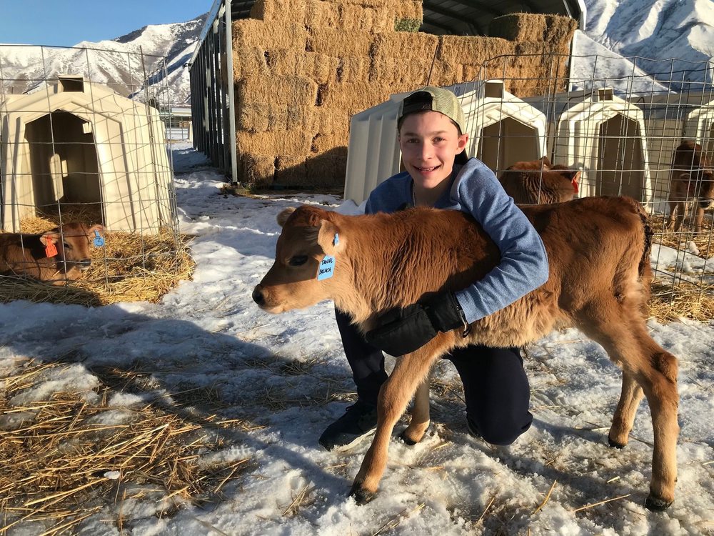 DISCOVERY RANCH - Updated May 2025 - 25 Photos & 38 Reviews - 1308 S ...