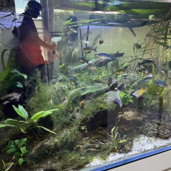 THE FISH BARN - Updated November 2025 - 38 Photos & 52 Reviews - 19 ...