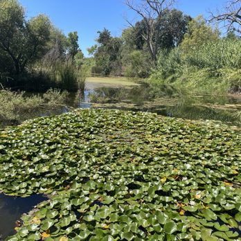 SHADOW CLIFFS REGIONAL RECREATION AREA - Updated November 2025 - 259 ...