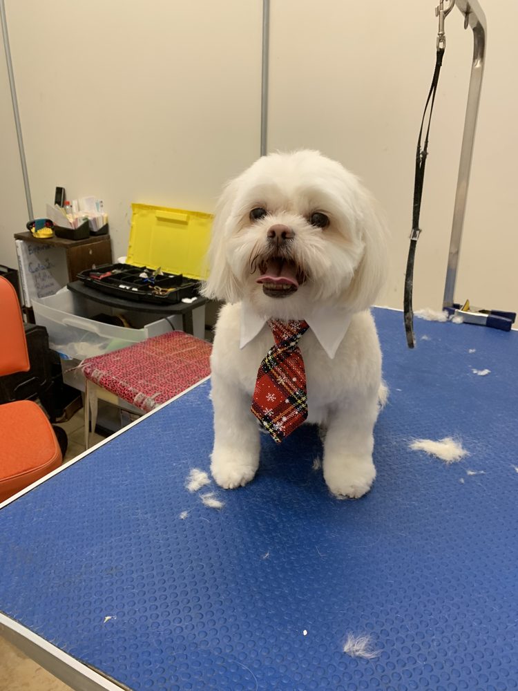 RIVERSIDE SOUTH PET SHOP - Updated July 2025 - 1-3771 Spratt Road ...