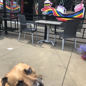 THE JAVA HOUSE - DOWNTOWN - Updated June 2025 - 134 Photos & 161 ...