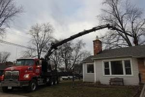 SMITTY’S TREE SERVICE - Updated October 2025 - 84 Photos & 61 Reviews ...