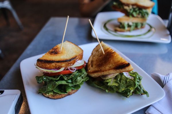 WILD ROOT - Updated April 2025 - 353 Photos & 359 Reviews - 276 N 8th ...