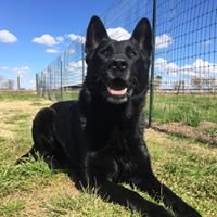 CR RANCH PET-O-TEL - Updated November 2025 - 147 Photos & 79 Reviews ...