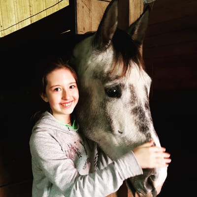 WILD ROSE EQUINE CENTER - 31 Photos & 19 Reviews - 17105 Old Pike Rd ...