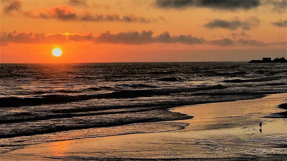 KENANNA RV RESORT BY RJOURNEY - Updated November 2025 - 95 Photos & 34 ...