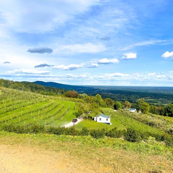 CARTER MOUNTAIN ORCHARD - Updated September 2024 - 1410 Photos & 462 ...