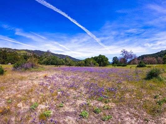 GARLAND RANCH REGIONAL PARK - 374 Photos & 107 Reviews - 700 W Carmel ...