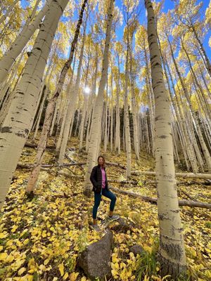 LOCKETT MEADOW - Updated October 2025 - 39 Photos - Flagstaff, Arizona ...