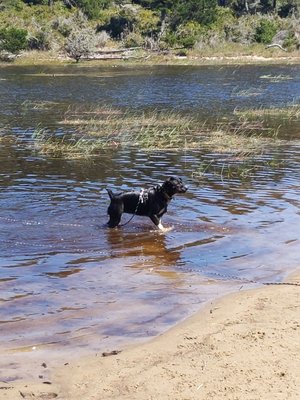 HORSFALL BEACH CAMPGROUND AND DAY USE AREA - Updated December 2025 - 26 ...