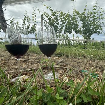 THREE FOX VINEYARDS & BREWERY - Updated October 2024 - 341 Photos & 212 ...