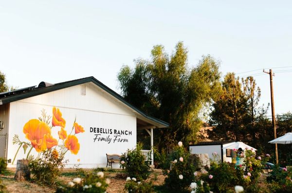 DEBELLIS RANCH FAMILY FARM - Updated May 2026 - 17 Photos - 32538 Aliso ...
