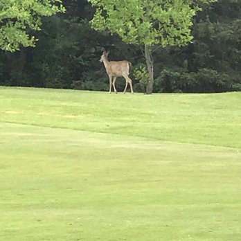 SPRINGFIELD OAKS GOLF COURSE - Updated October 2025 - 11 Reviews ...