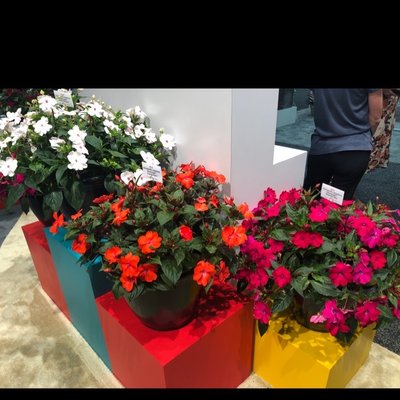 GREATER COLUMBUS CONVENTION CENTER PARKING GARAGE - Updated October ...