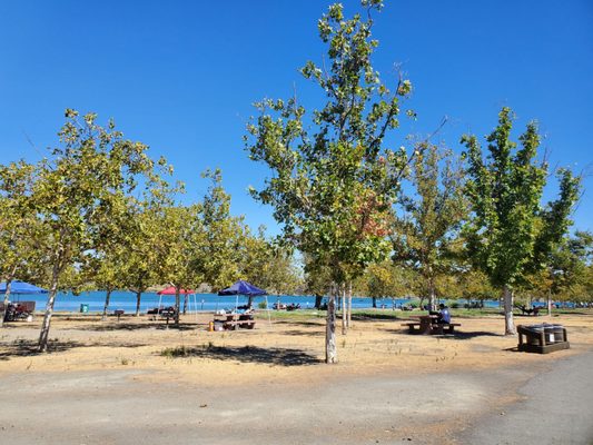 SHADOW CLIFFS REGIONAL RECREATION AREA - Updated January 2026 - 259 ...