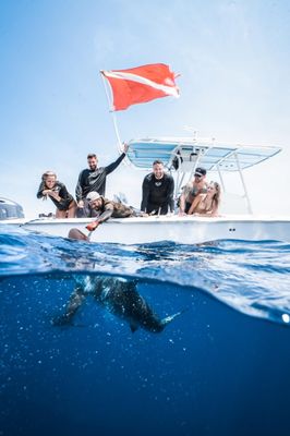 SHARK ADDICTS - Updated December 2025 - 13 Photos - 805 US-1, Jupiter ...