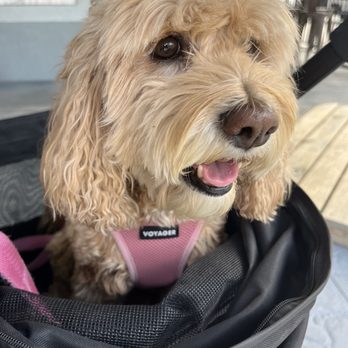 THE CRAZY CUCUMBER - Updated May 2025 - 133 Photos & 236 Reviews - 4414 ...