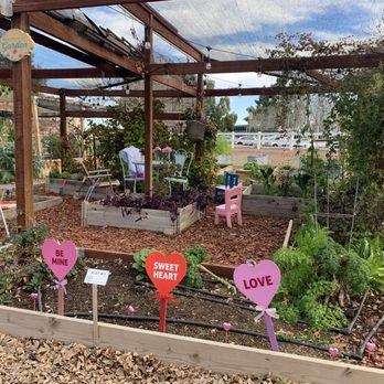 AGRITOPIA - Updated May 2025 - 131 Photos & 43 Reviews - 3000 E Ray Rd ...