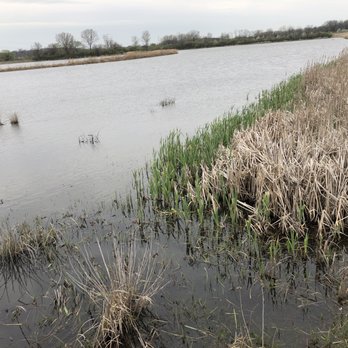 WHALON LAKE - Updated October 2025 - 48 Photos - 21 Reviews - Royce Rd ...