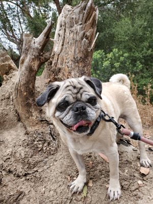 MURPHY RANCH PARK - Updated May 2024 - 200 Photos & 52 Reviews - 16200 ...