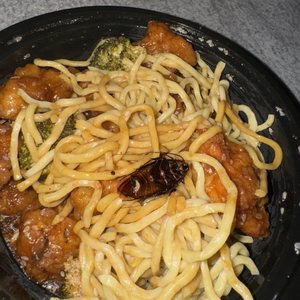 CHINA TOWN - Updated March 2025 - 18 Reviews - 405 Central Ave, Butner ...