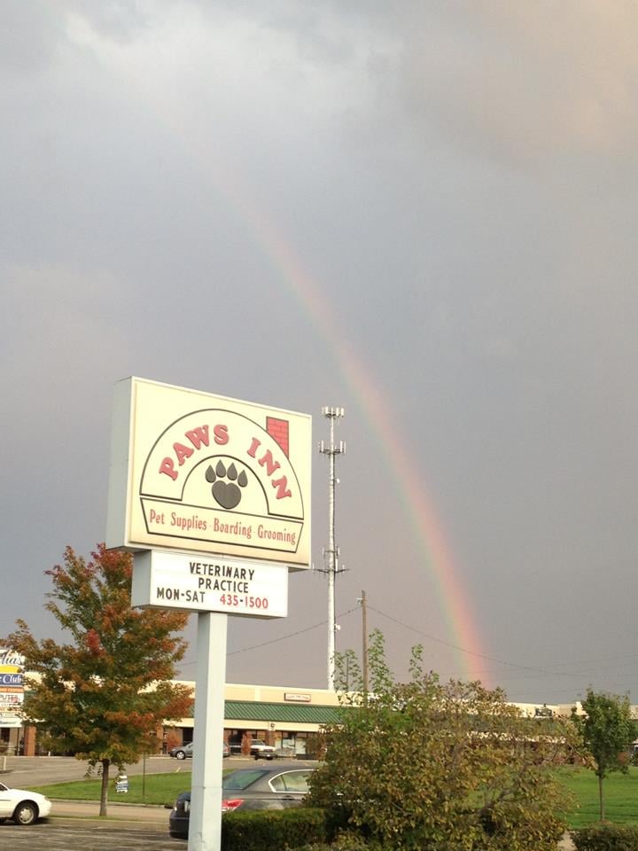 PAWS INN ANIMAL HOSPITAL - Updated December 2025 - 16 Reviews - 8926 ...