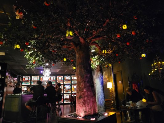 WILD ORANGE - 237 Photos & 56 Reviews - 1680 Kapiolani Blvd, Honolulu ...