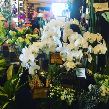 Arenas Flowers Rochester Ny | Best Flower Site