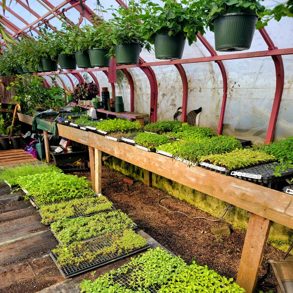 BOTANICA - Updated October 2025 - 711 Union St, Portsmouth, Rhode ...