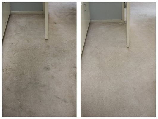 RED RUGS CARPET CLEANING - Updated October 2025 - 19 Photos & 214 ...