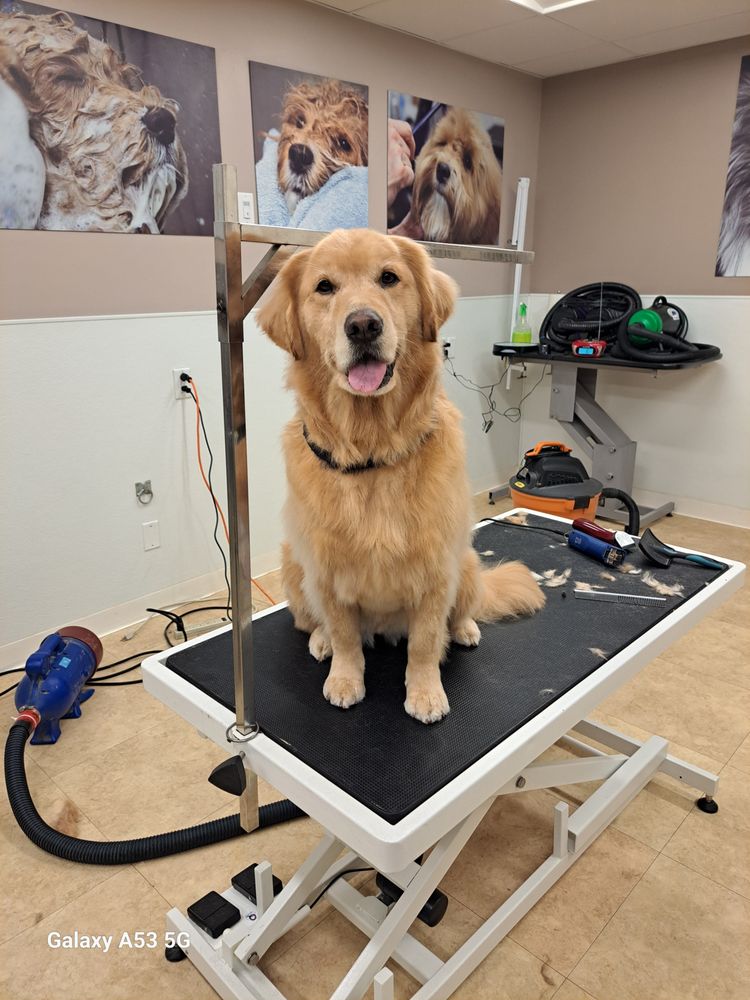 BED & BISKIT GROOMING - Updated April 2026 - Request an Appointment ...