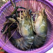 TOP SPOT FOOD COURT - 48 Photos & 11 Reviews - Jalan Bukit Mata Kuching ...