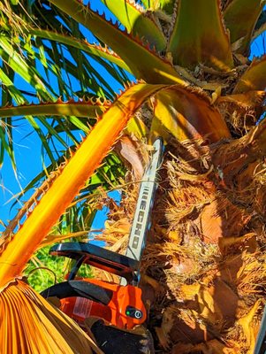 DANNY G YARD CARE AND TREE CARE - Updated October 2025 - 66 Photos & 17 ...