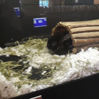 HIGHLAND SAM J. RACADIO LIBRARY & ENVIRONMENTAL LEARNING CENTER ...