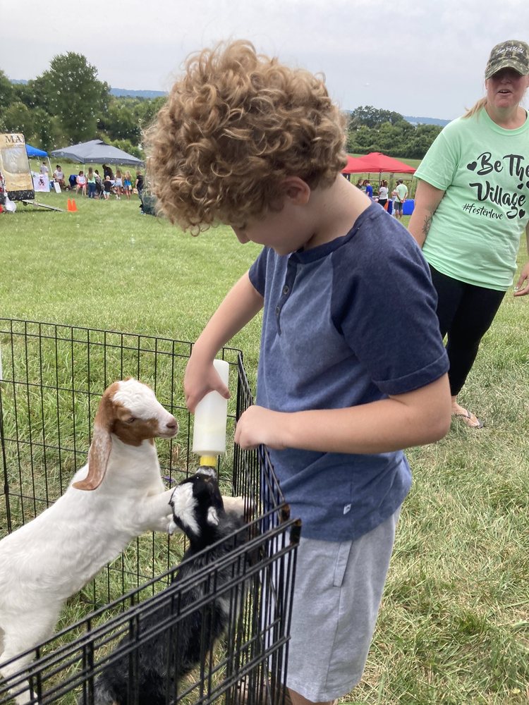 BATZ FARM - Updated December 2025 - 45 Bullfrog Rd, Grantville ...