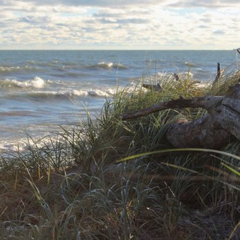 Whihala Beach Co Park - Trusted Since 1969 - Updated July 2025 - 54 ...