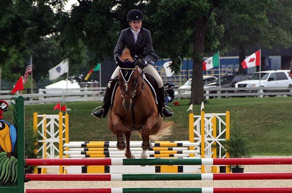 WEST WIND STABLES - Updated October 2025 - 16 Photos - 4787 Haley Rd ...