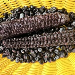 SPICE EXPRESS INDIAN KITCHEN - 11 Photos - 3784 Pkwy, Pigeon Forge ...