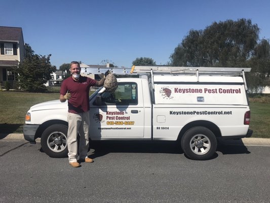 KEYSTONE PEST CONTROL - Updated October 2025 - 10 Photos - Reading ...